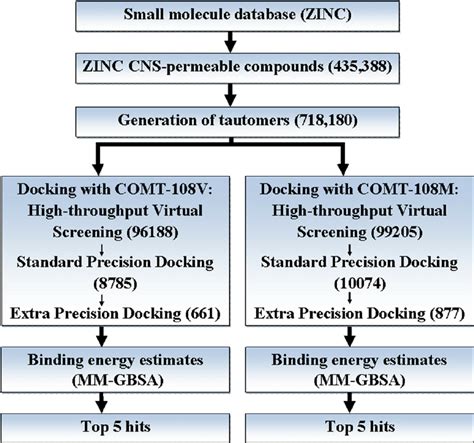 Schematic Representation Of Structure Based Virtual Screening For Download Scientific Diagram