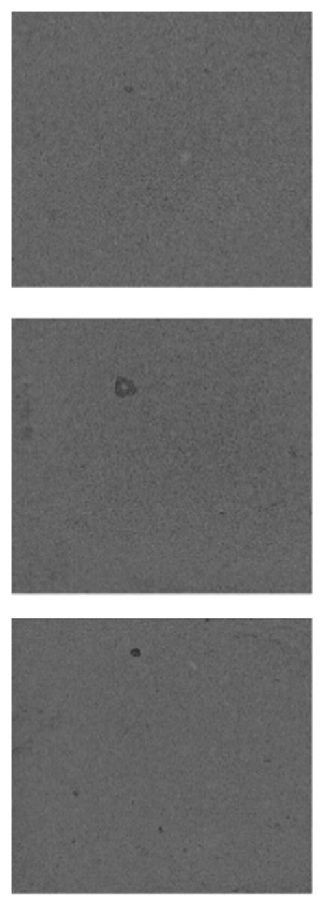 Examples Of Different Defect Types In The Ffsd Dataset A Crazing Download Scientific