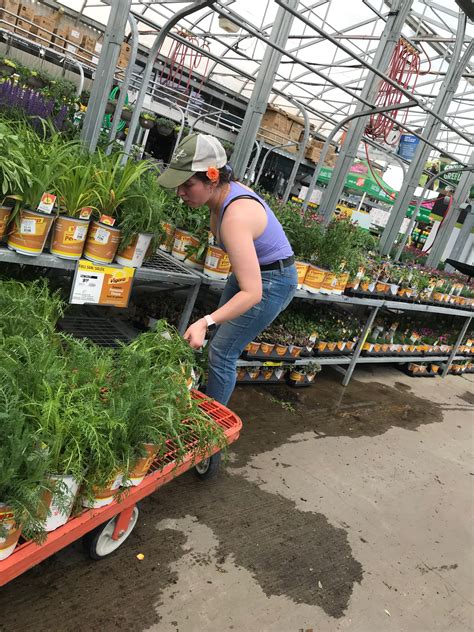 Home Depot Hotties Tight Jeans Forum