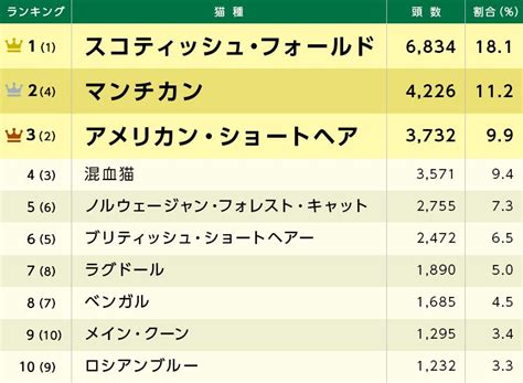 「猫の名前ランキング2020」発表！1位は“性別”に関わらず付けられる名前（写真 415） Mimotミモット