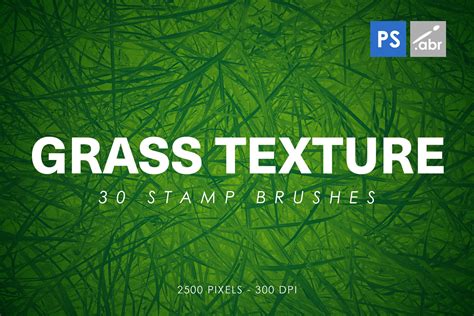 30 Grass Texture Photoshop Stamp Brushes Graphic By Artistmef