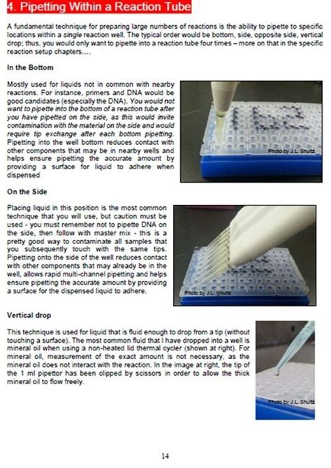 High Throughput Pcr — Decisionlearning