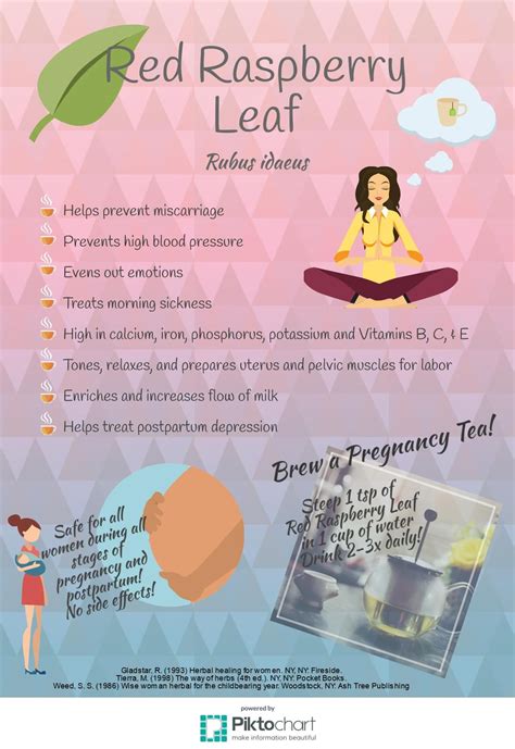 Homemade Red Raspberry Leaf Infographic
