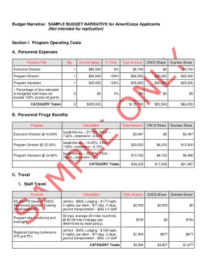 Fillable Online Budget Narrative SAMPLE BUDGET NARRATIVE For