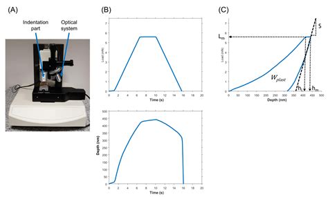 Comprehensive Characterization Of Tissue Mineralization In An Ex Vivo Model