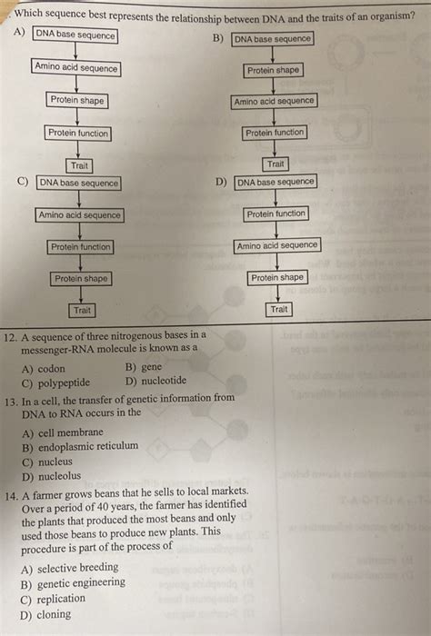 Solved Which Sequence Best Represents The Relationship Between Dna And The Traits Of An