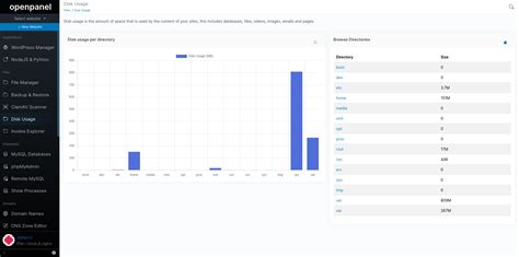 Disk Usage Openpanel