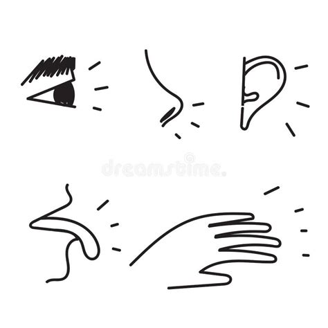 Hand Drawn Doodle Five Senses Vector Icon Illustration Set Stock Vector