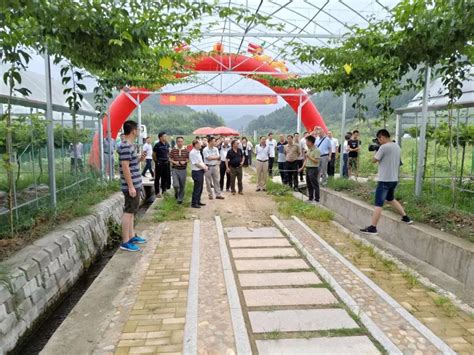 南平市国家农业可持续发展试验示范区建设专题培训会召开 中国福建三农网