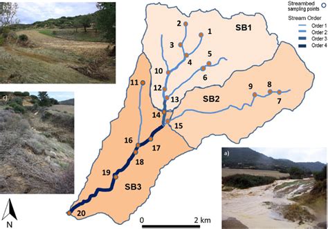Location Of The Analysed Points In Each Stream Transect In The Nested