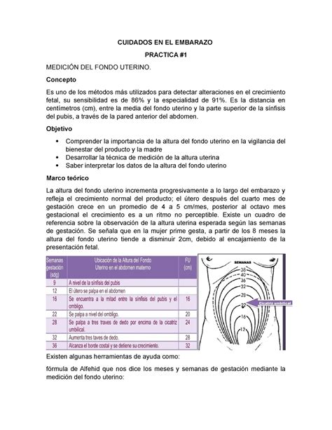 Medicion Del Fondo Uterino Managedmen