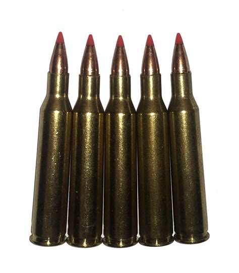 220 Swift Archives Snap Caps Dummy Rounds