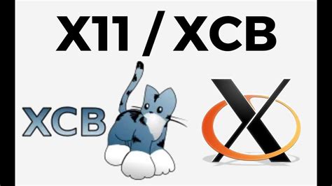 How To Prevent Window From Gaining Input Focus In X11 Pupuweb