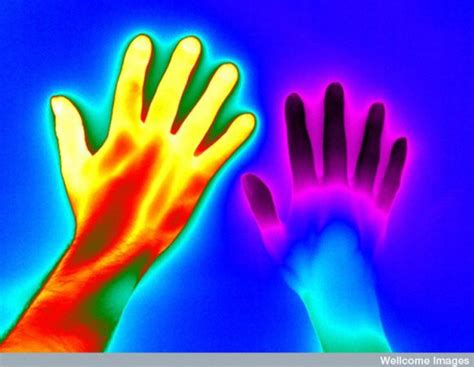 Investigating Thermoregulation A Q A With Dr Davide Filingeri