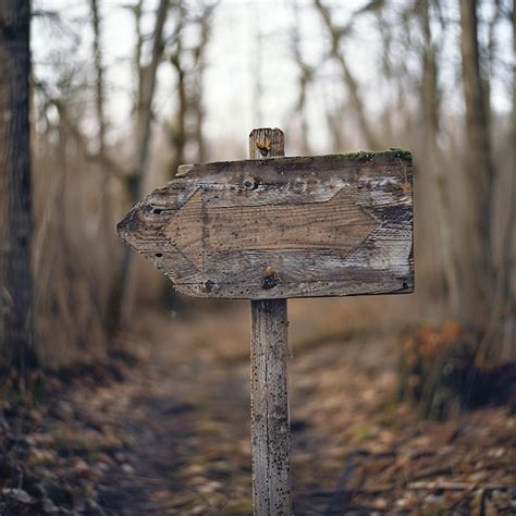 Premium Photo Blank Wooden Directional Signs On Tree