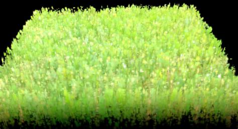 Coding Crusaders 203 By Codingcrusader Demos And Projects