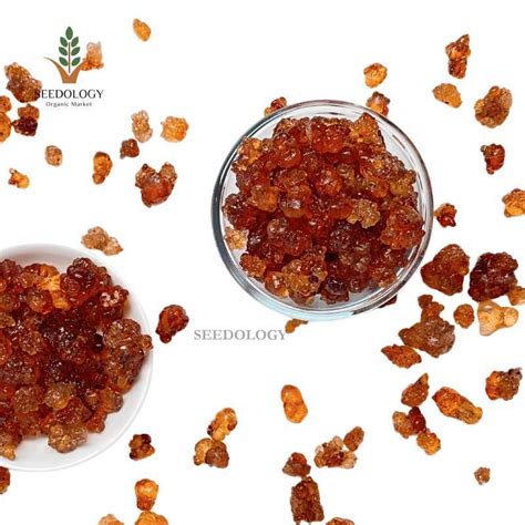 Jual Peach Gum 250gr Getah Persik Tao Jiao Collagen Sehat Di Seller Seedology Jeruk