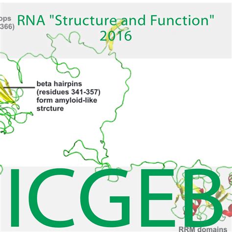 Rna Structure And Function 2016 Podcast Addict