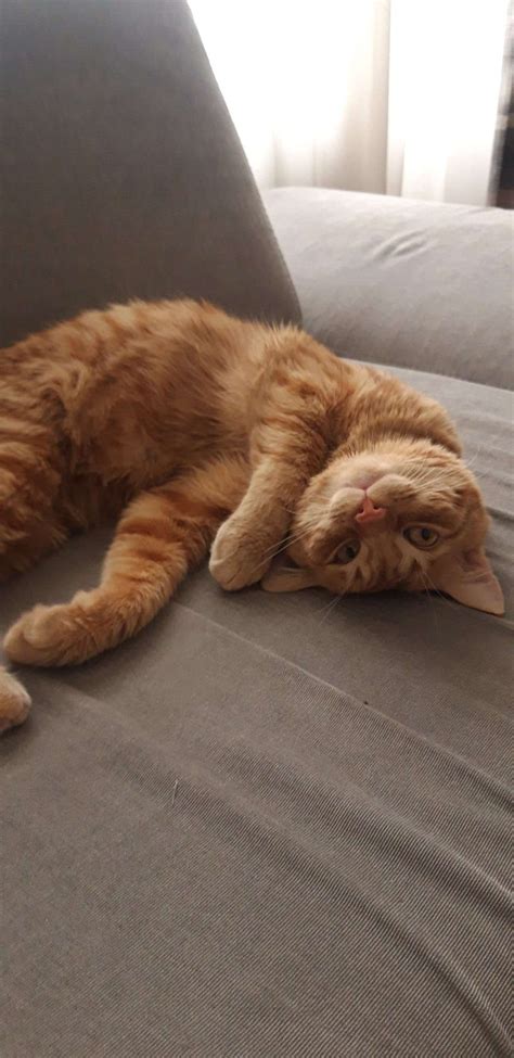 Aleksandra Stoimenova On Linkedin Поздрави от вече известния като РЕКРУТМЪНТ КОТАРАК Захари 😊