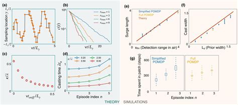 Alternation Emerges As A Multi Modal Strategy For Turbulent Odor