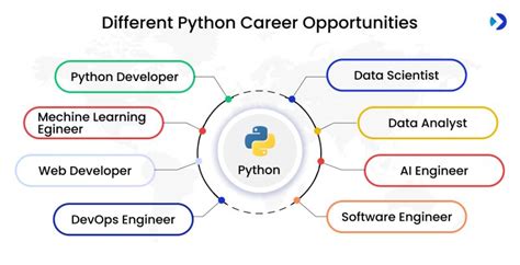 A Python Web Developer Is Responsible For Writing Server Side Web