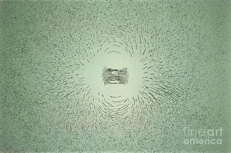 Iron Filings Around A Bar Magnet Photograph By Vaughan Flemingscience