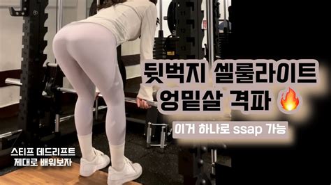 헬스장 힙운동 허벅지 셀룰라이트 엉밑살 조져조져🔥 스티프 데드리프트 Youtube