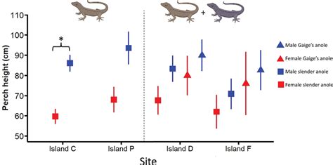 Habitat Use Perch Height Differences Between The Sexes Red Download Scientific Diagram