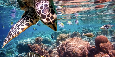 Devastating Discovery Further Drives Our Purpose