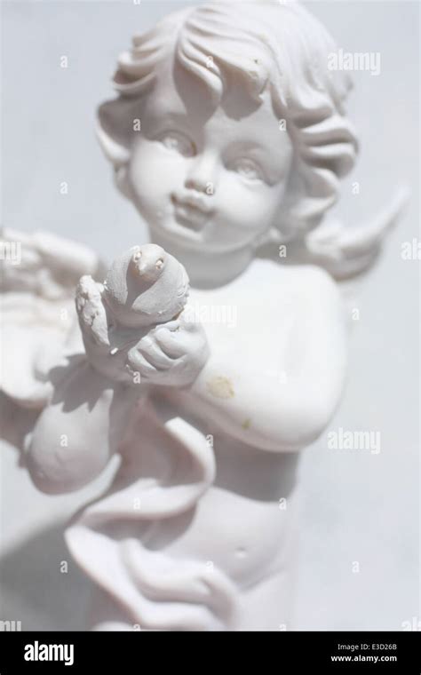 Angel Holding Dove Hi Res Stock Photography And Images Alamy