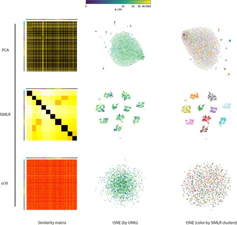 analysis on the zinb random dataset n 2 000 cells for three
