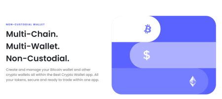 What Are Decentralized Applications Dapps