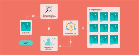 A Guide To A Digital Asset Manager Dam Mango Soft