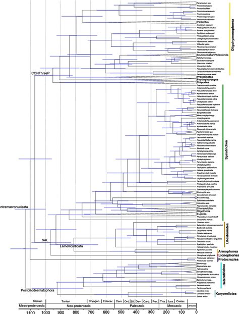 Bayesian Time Calibrated Tree Of Extant Ciliophora Inferred Using The