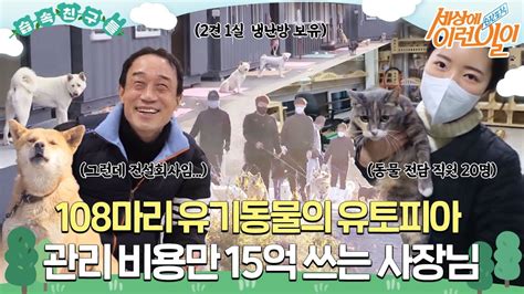 [ 습속친구들] 🐶유기견×유기묘😺 108마리 키우느라 15억 쓰는 건설회사 사장님 순간포착세상에이런일이