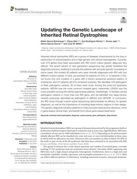 Pdf Updating The Genetic Landscape Of Inherited Retinal Dystrophies