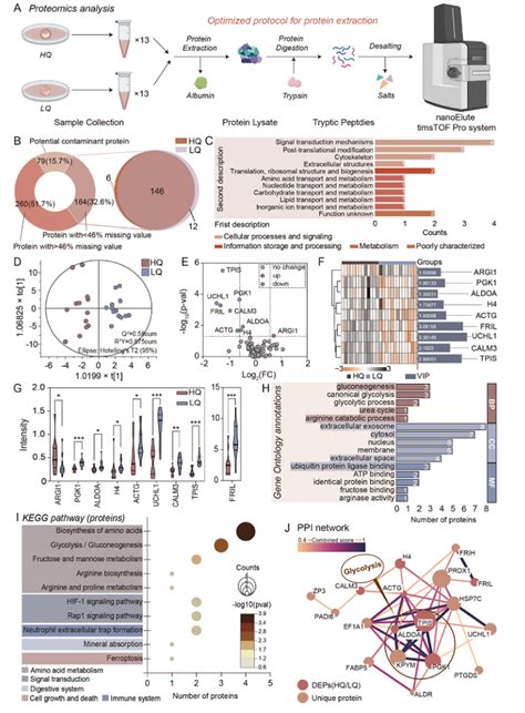 Quantitative Proteomics Analysis Service Mtoz Biolabs