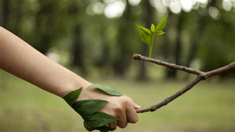 Adorar La Naturaleza Y Tener Sexo Con La Tierra Quiénes Son Y Qué