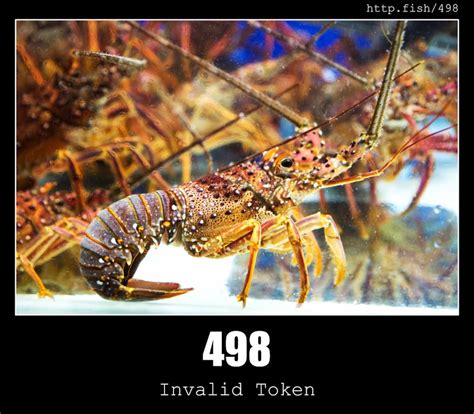 Invalid Token Status Code And Cats