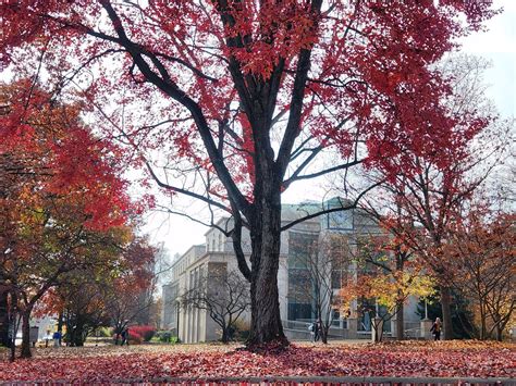 Drew Pasteur On Twitter What A Beautiful November Day At Wooster