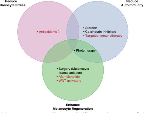 Vitiligo Pathogenesis And Emerging Treatments Semantic Scholar