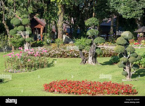 The Doi Tung Royal Villa At The Village Of Doi Tung North Of The City