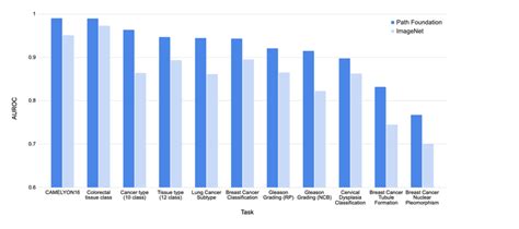 Google Research Explore Our Latest Research In Science And Ai Google Research