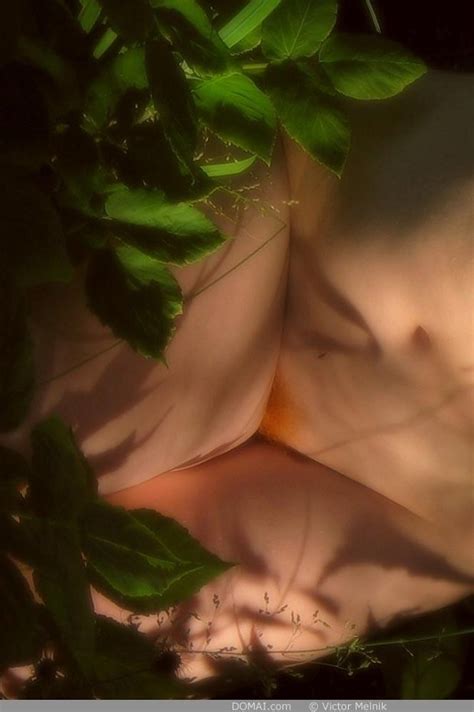 Red Pubic Hair Sturmfels