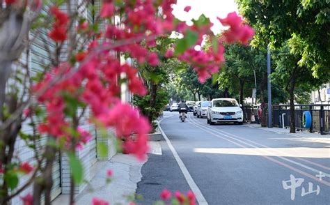 中山东凤镇：党群同心，共建美丽家园｜党建引领 百千万工程”百日攻坚 新闻频道 中山网