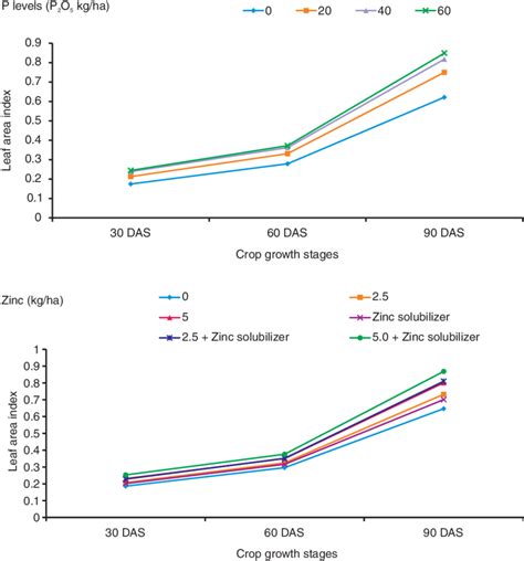 Effect Of Phosphorous And Zinc Fertilization On Lai Of Fenugreek On