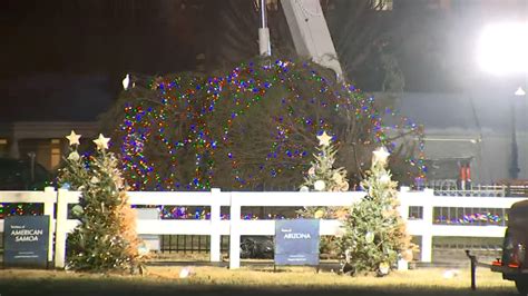 National Christmas Tree Topples Over Internewscast Journal