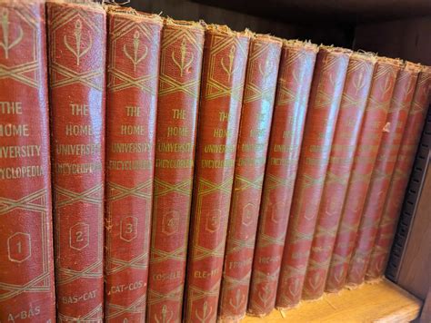 The Algorithms Kinda Suck — Could Poets Help — Lions Way Content