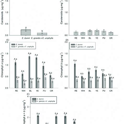 Photosynthetic Pigment Contents Measured After 60 D During The In Vitro