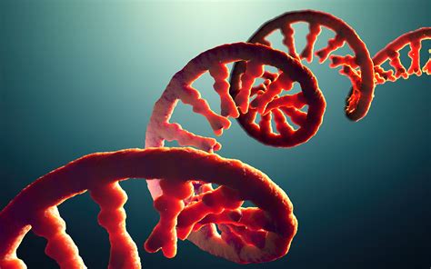 Unfolding Rna Origami Reveals Cell Secrets A Star Research